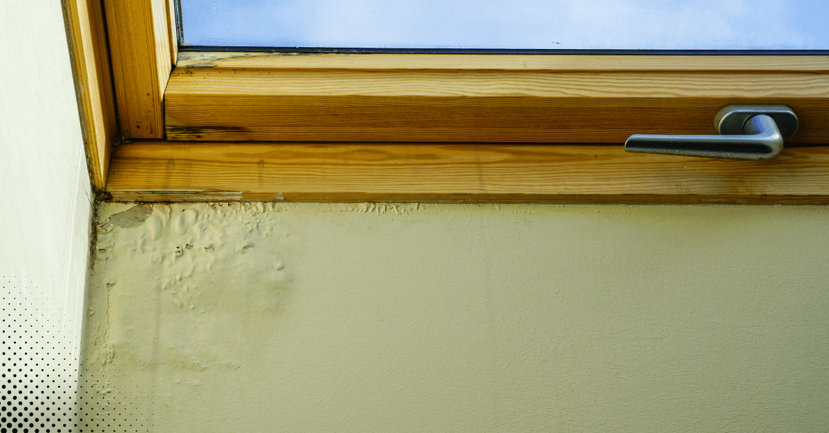 Moisture Issues? Know The Signs And Solutions - SEC Inspection Services